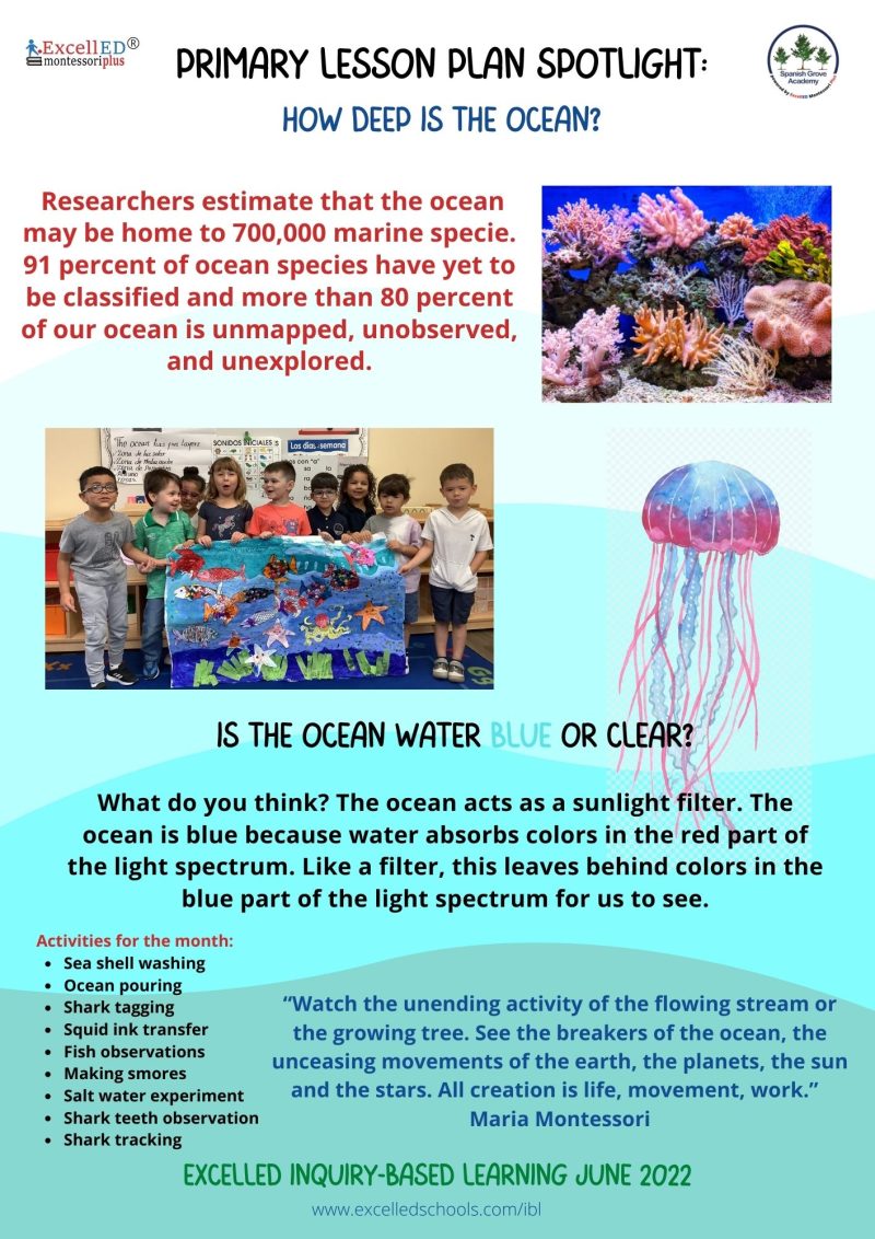 Unveiling Mysteries of the Ocean: Species, Colors & Exploration